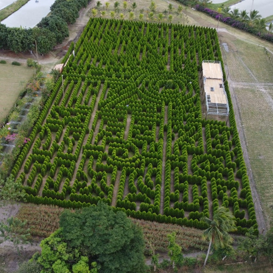 Visita el Laberinto de Cipreses en Honduras, una gran aventura natural