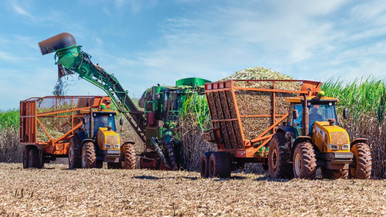 Conoce el impacto positivo de la producción de azúcar en Honduras