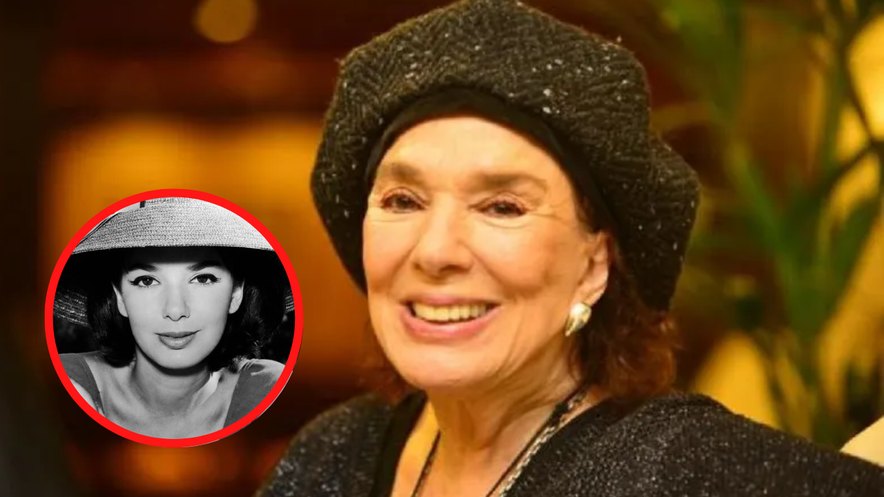 Graciela Borges ¿quién Es Y A Qué Se Dedica