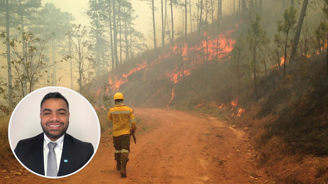 ONG desviaron L70 millones del ICF en proyectos de control de incendios ...