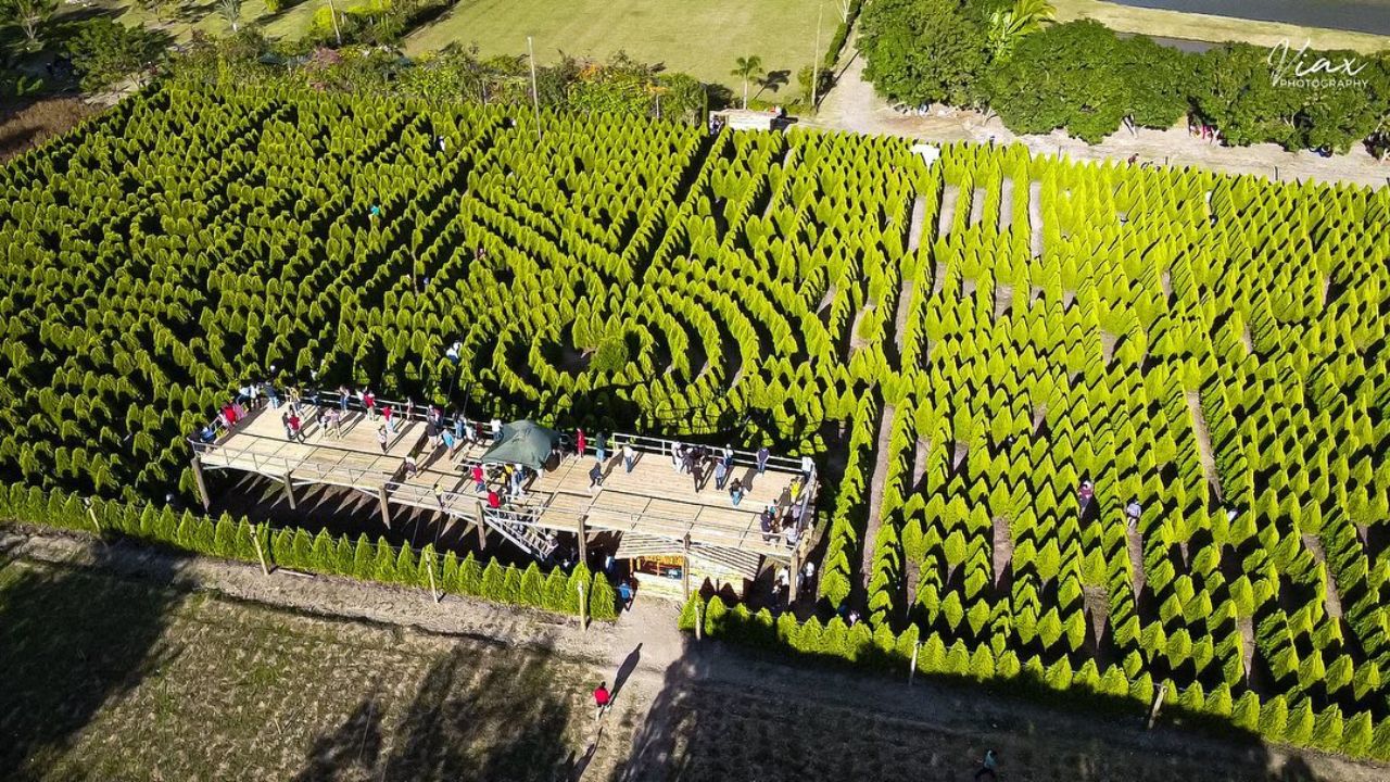 Visita el Laberinto de Cipreses en Honduras, una gran aventura natural