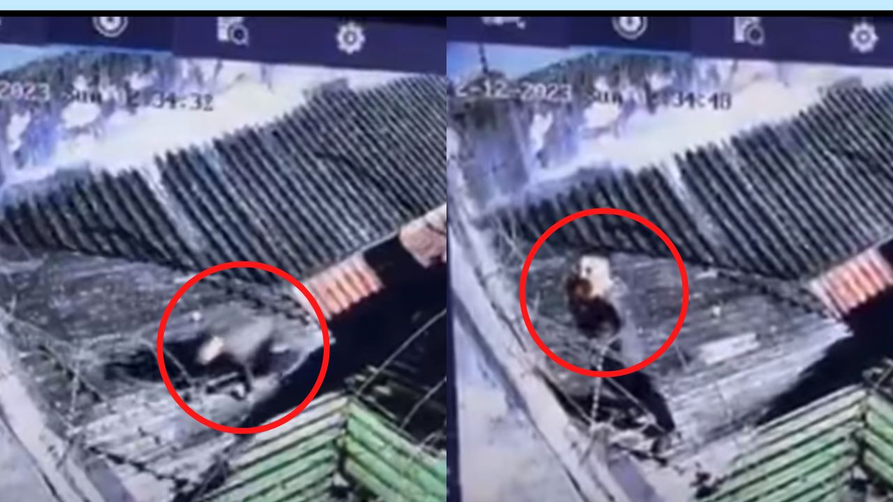 Vídeo: reo se fuga de cárcel de Danlí, El Paraíso