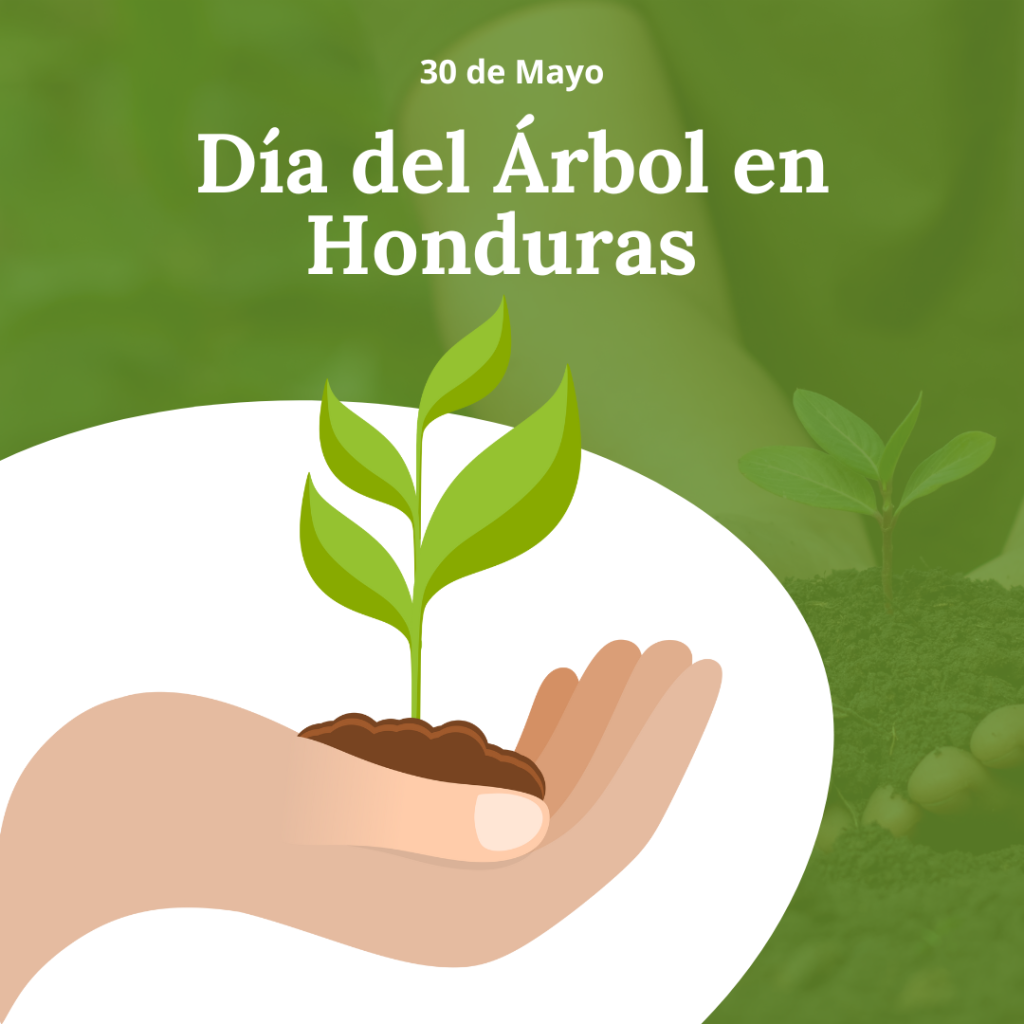 Frases y mensajes del Día del Árbol, palabras para celebrar el 30 de mayo