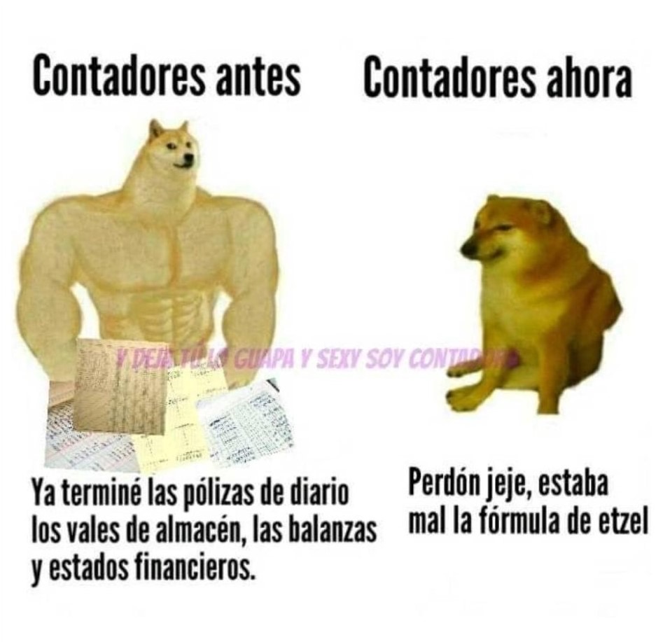 Día del perito mercantil en Honduras: Memes