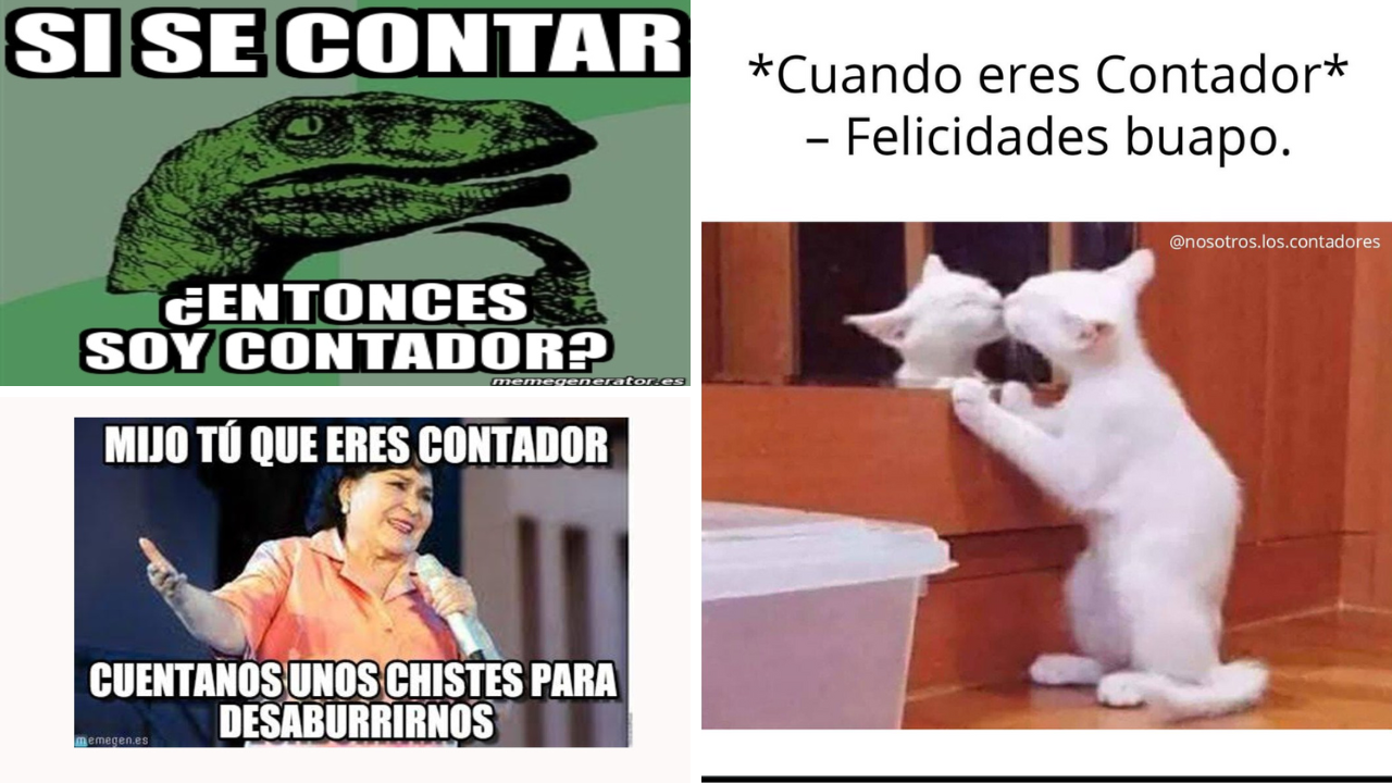 Imagenes Chistosa Para Contadores 9 Ideas De Humor Contador | Frases
