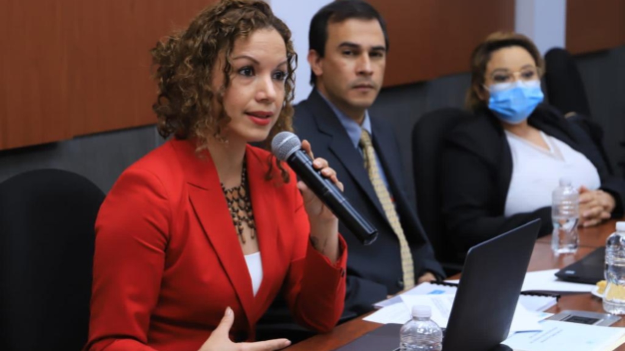 Conadeh 'tergiversa' disposiciones del CNDS, según titular de la SEDH