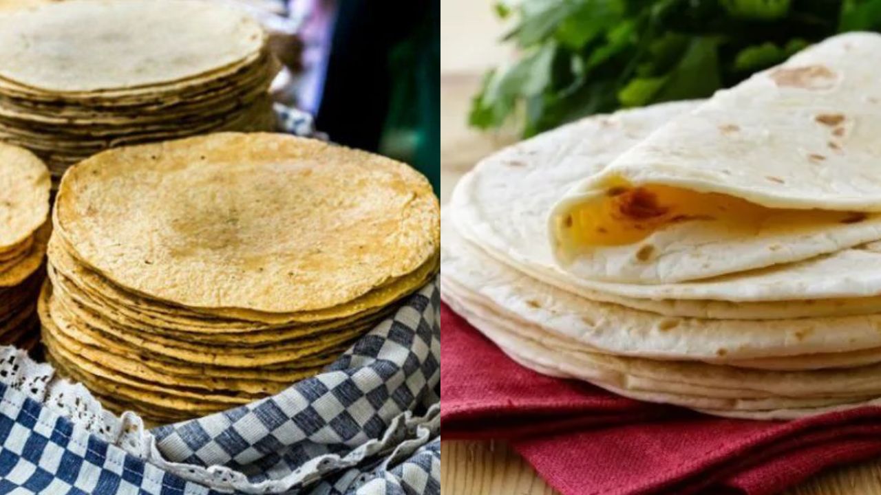 Tortilla de harina o de maíz: ¿Cuál engorda más y cuál es más saludable? Esto dicen expertos