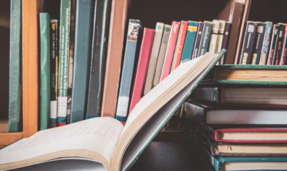 Día del Libro 15 de junio, actividades para este fecha donde se ...