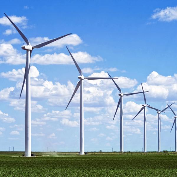 ¿Qué son los países verdes?, cómo se mide, por qué son importantes y en ...