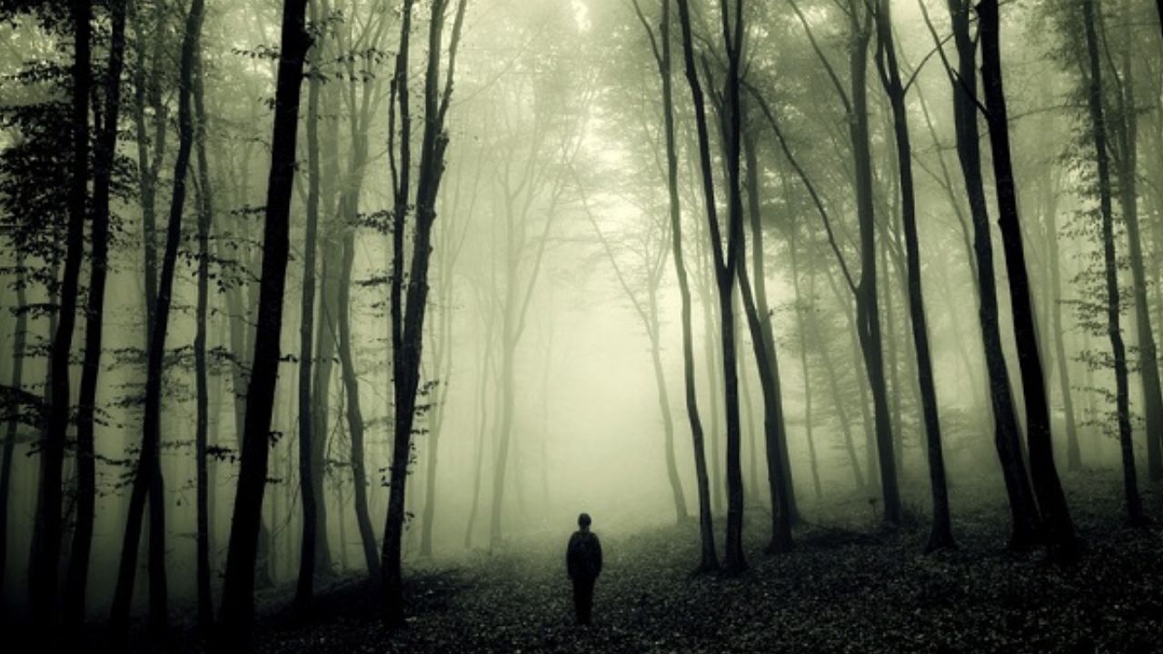 'In forest scary' video 'two guys hat stick' gore, ¿de qué trata la ...