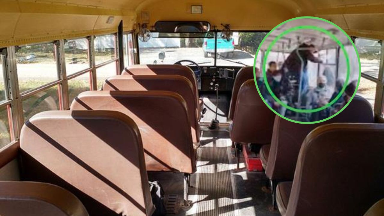 Ladrón se tiró de bus luego de robar un celular y murió del impacto