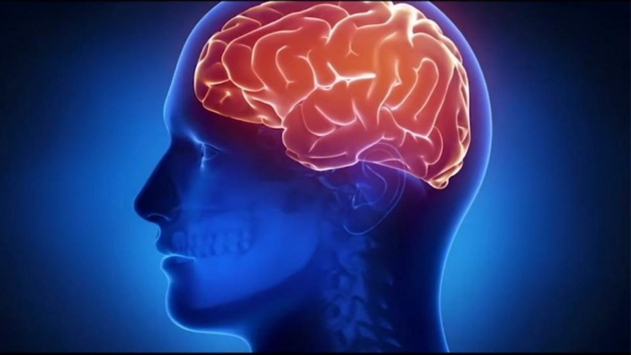 Porque Nos Importa: Lectura y buena alimentación ayudan a revertir la ...