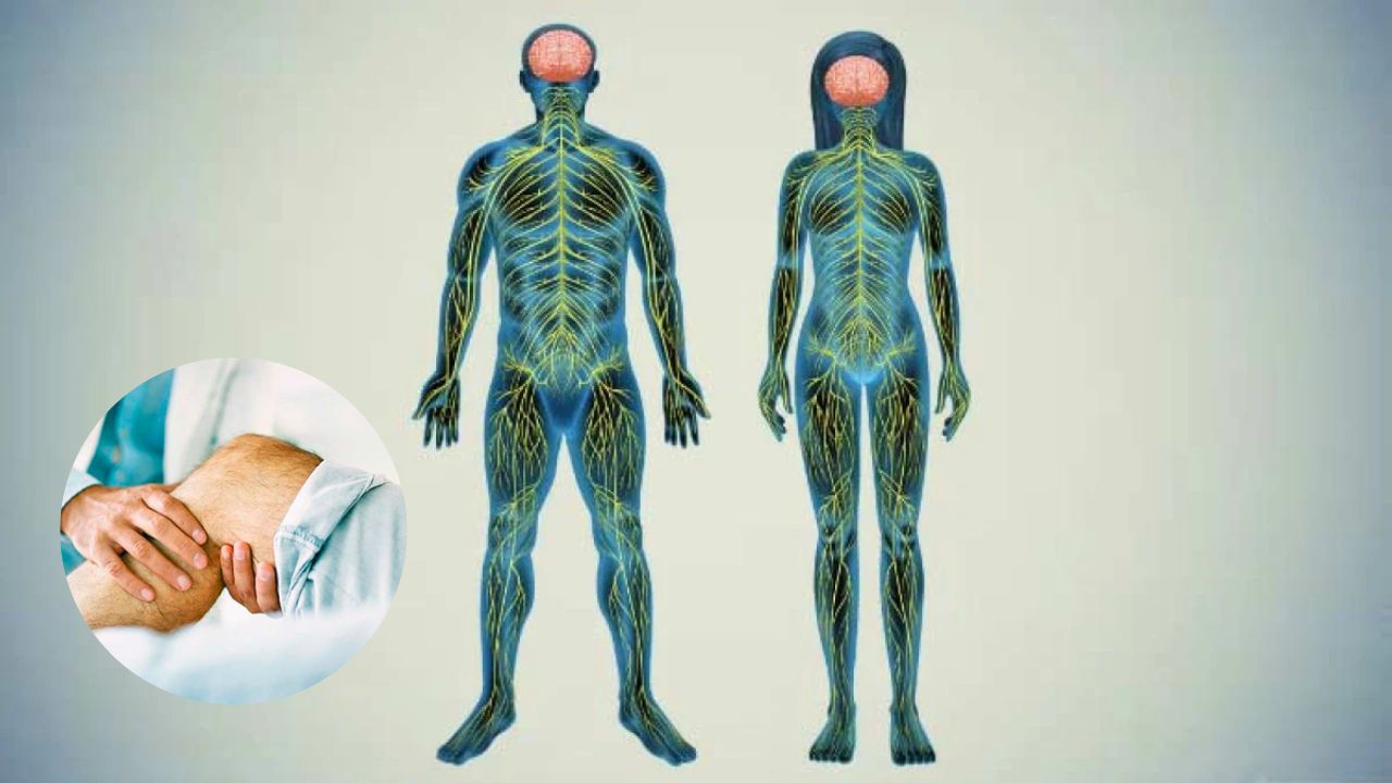 Guillain-Barré: ¿cómo se contagia? lo que debes saber sobre esta enfermedad