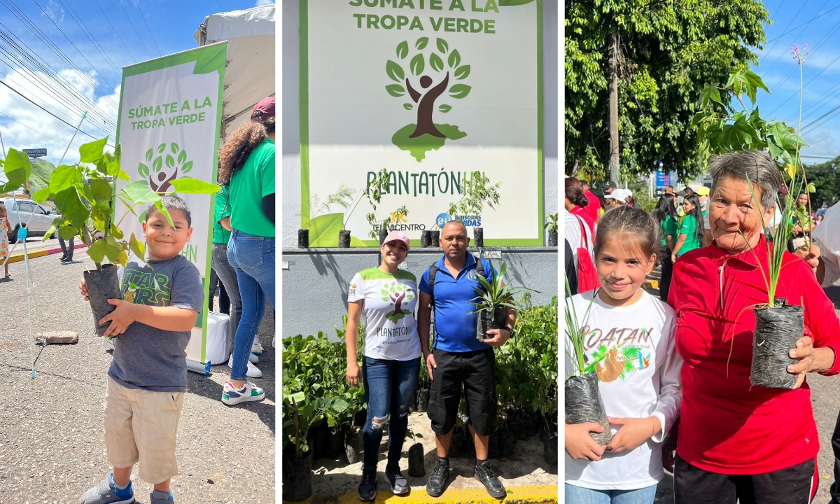 PlantatónHN: capitalinos recibieron más de 4,000 arbolitos este domingo