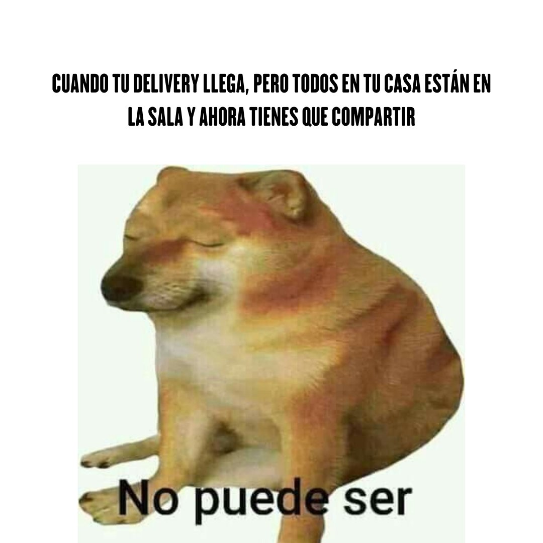 ¿Quién es Cheems? El perrito meme que se volvió una sensación y ...