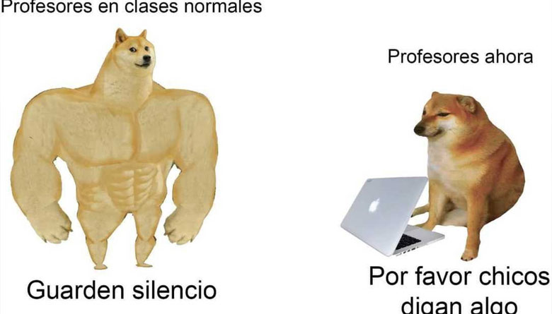 Cheems llorando y 'no puede ser', memes: El perro Cheems muere por cáncer