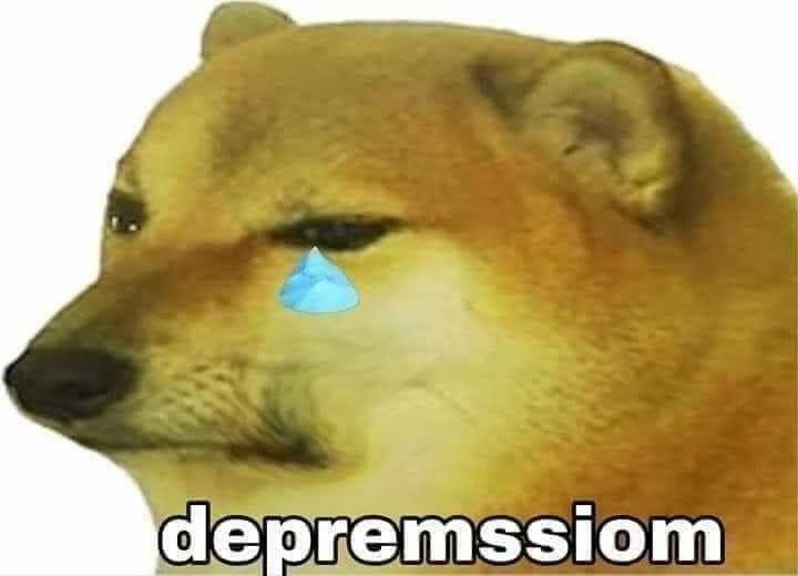 Cheems llorando y 'no puede ser', memes: El perro Cheems muere por cáncer