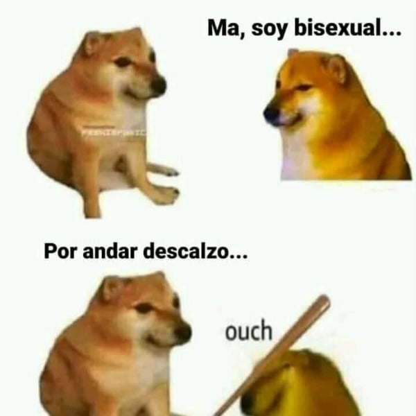 ¿Quién es Cheems? El perrito meme que se volvió una sensación y ...
