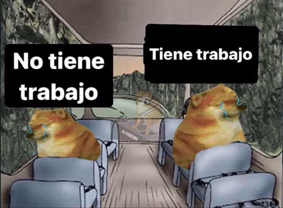 ¿Qué raza es Cheems?, el perrito meme muere y estos son algunos ...