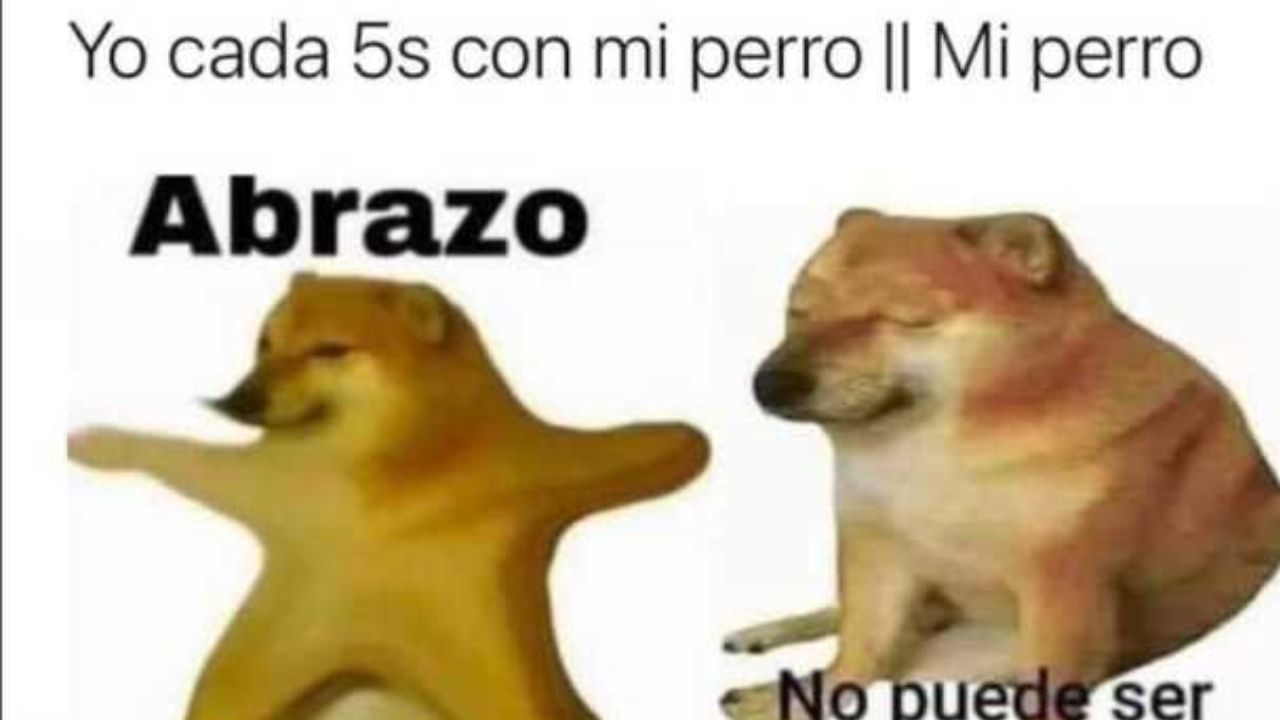 Cheems llorando y 'no puede ser', memes: El perro Cheems muere por cáncer