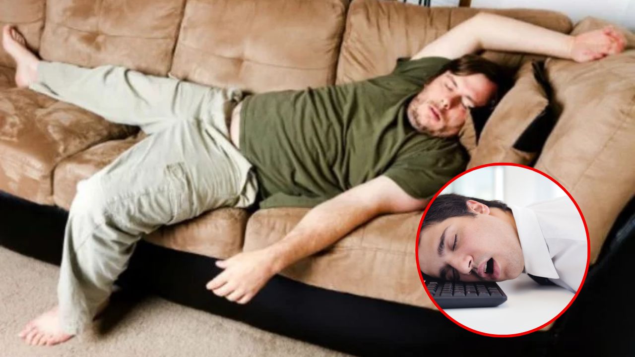 ¿Cuándo es el Día de la Flojera 2023?, qué es y curiosidades de esta ...