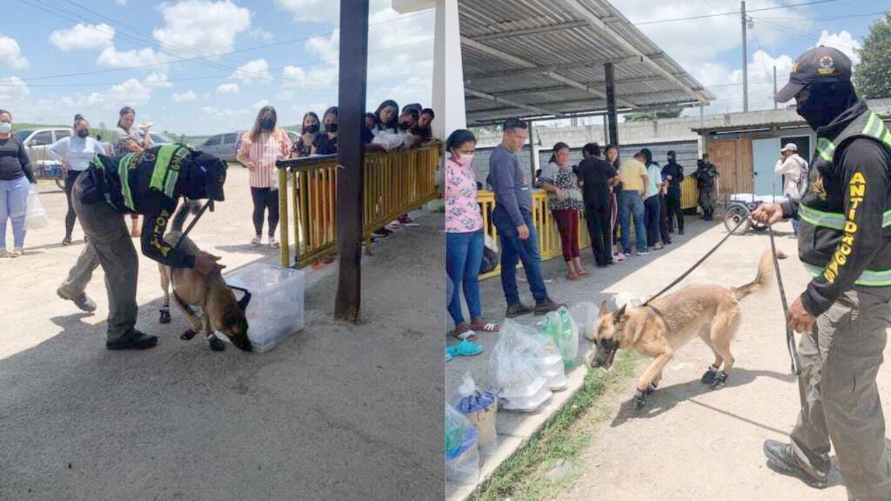 DLCN hace inspección en las cárceles para registrar y controlar a ...