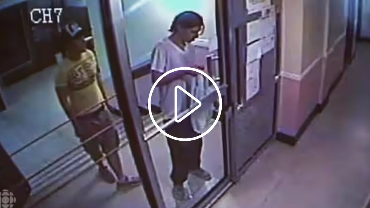 Jun Lin y su novio video, la historia de Luka Magnotta y cómo le quitó la vida al universitario ...