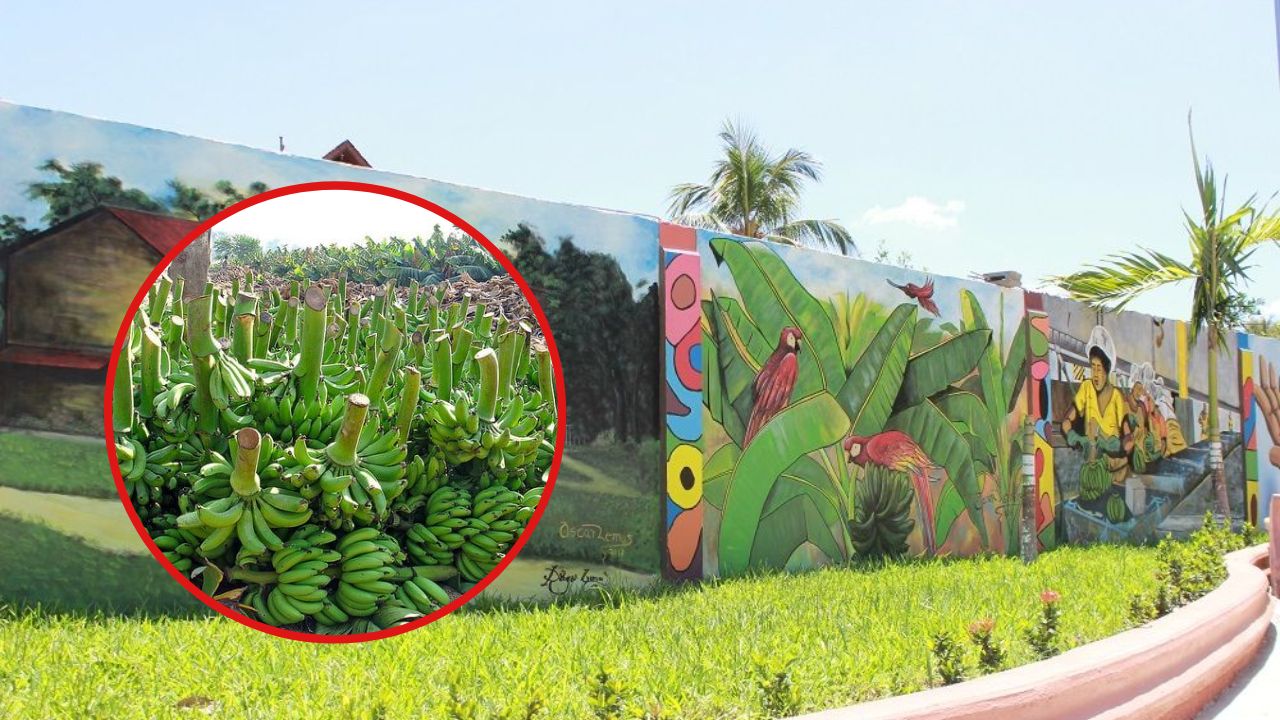 La Lima, Cortés, la 'Ciudad del Oro Verde'