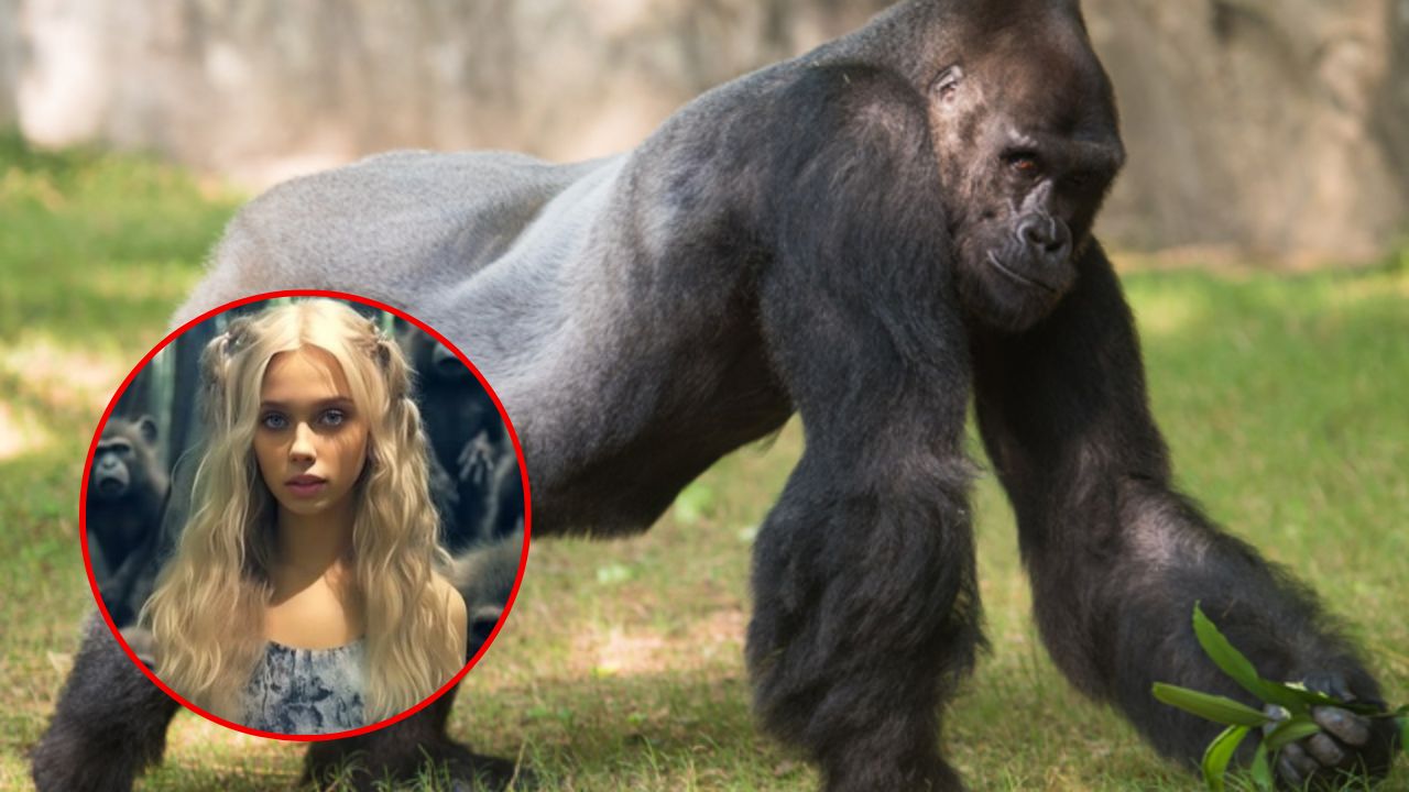 ¿Eva Lefebvre qué le pasó?, quién es y por qué la historia que ...