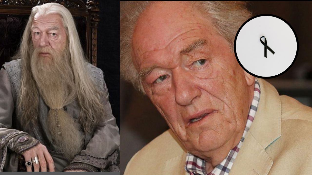 Actor de Harry Potter que murió, quién es y causa de muerte del ...