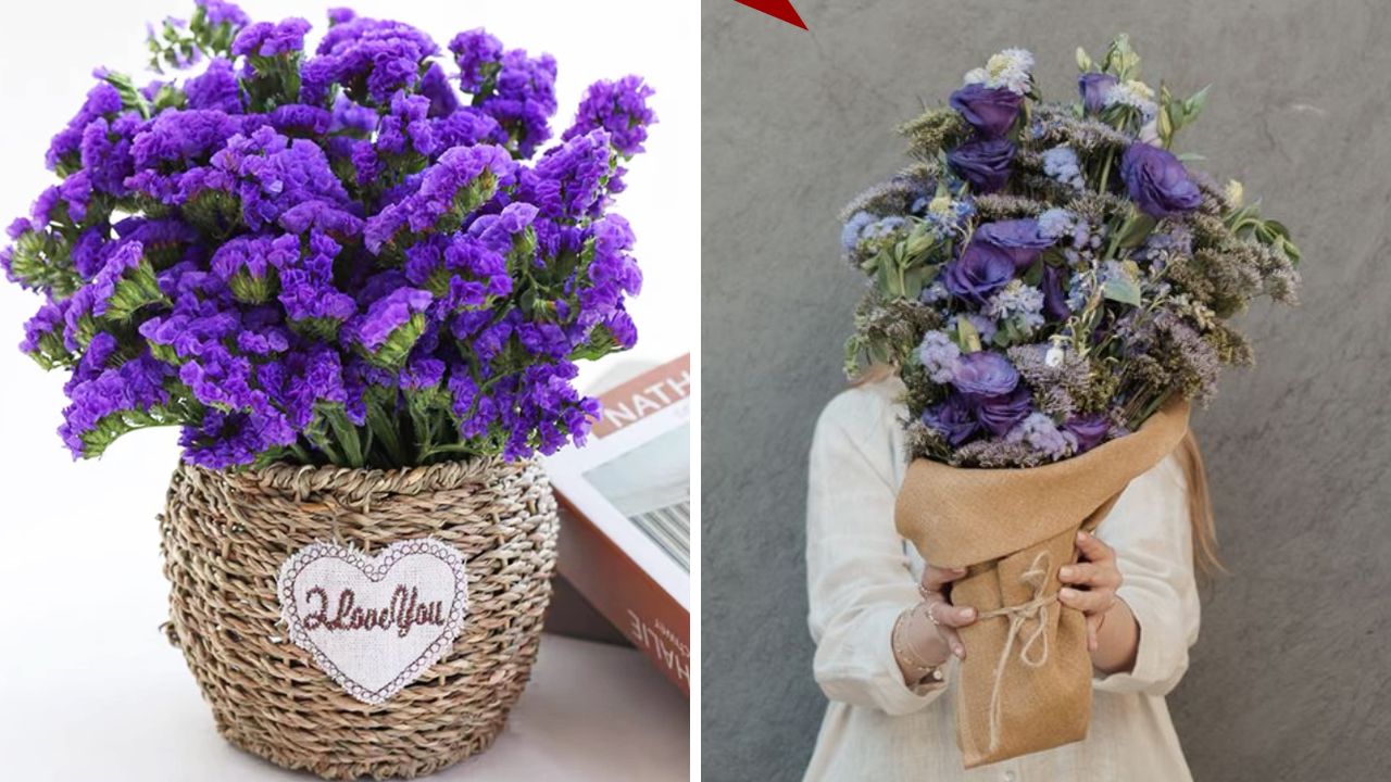 ¿Qué significan las flores moradas y por qué se entregan el 9 de octubre?