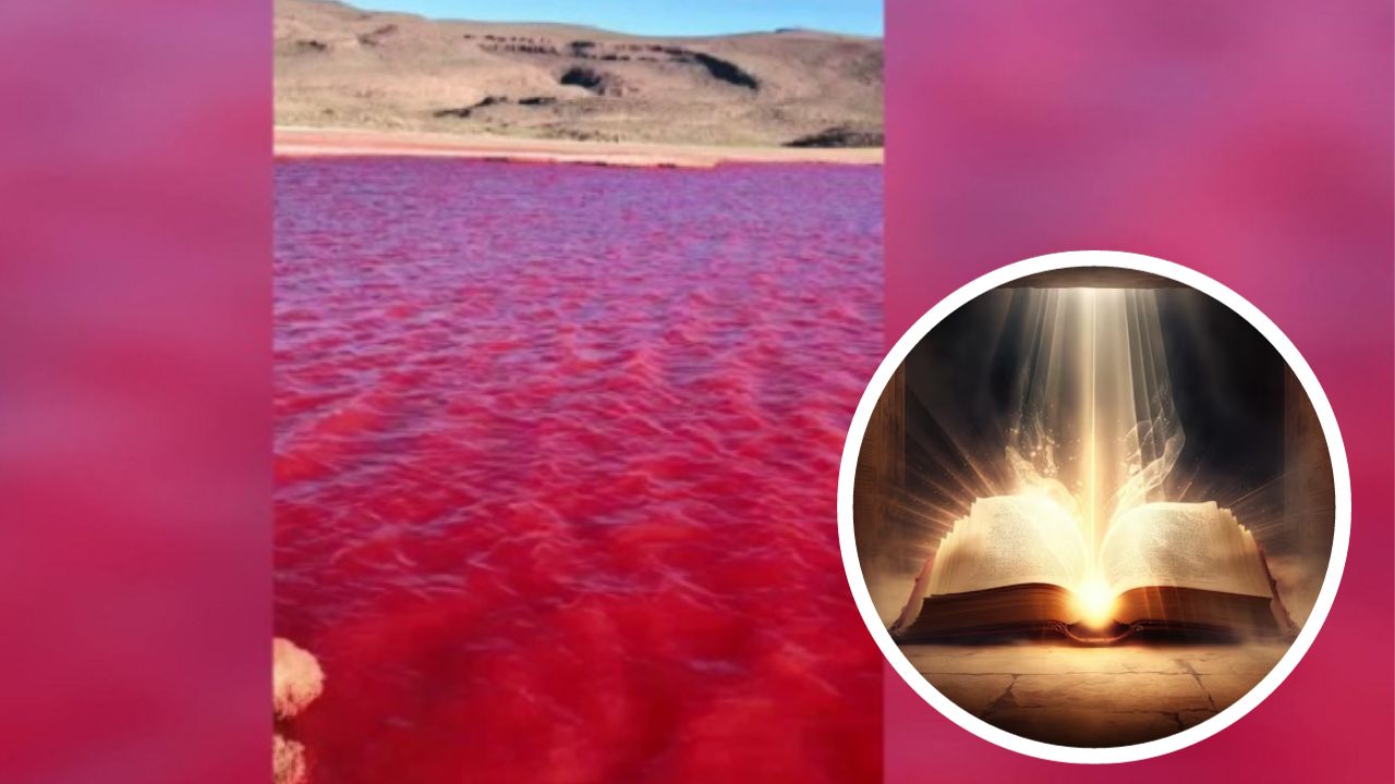 Río Nilo presagio bíblico: ¿Qué significa que el río Nilo esté rojo y ...
