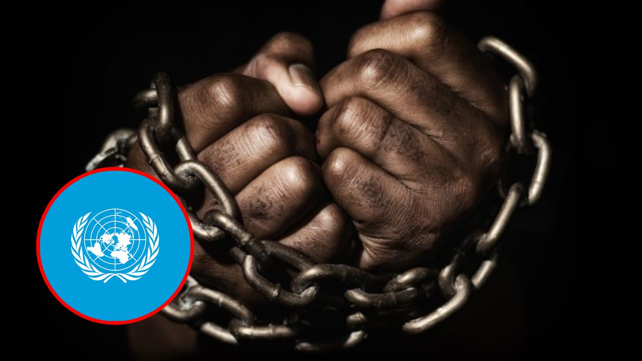 ¿2 de diciembre qué se celebra?, significado del Día Internacional para ...