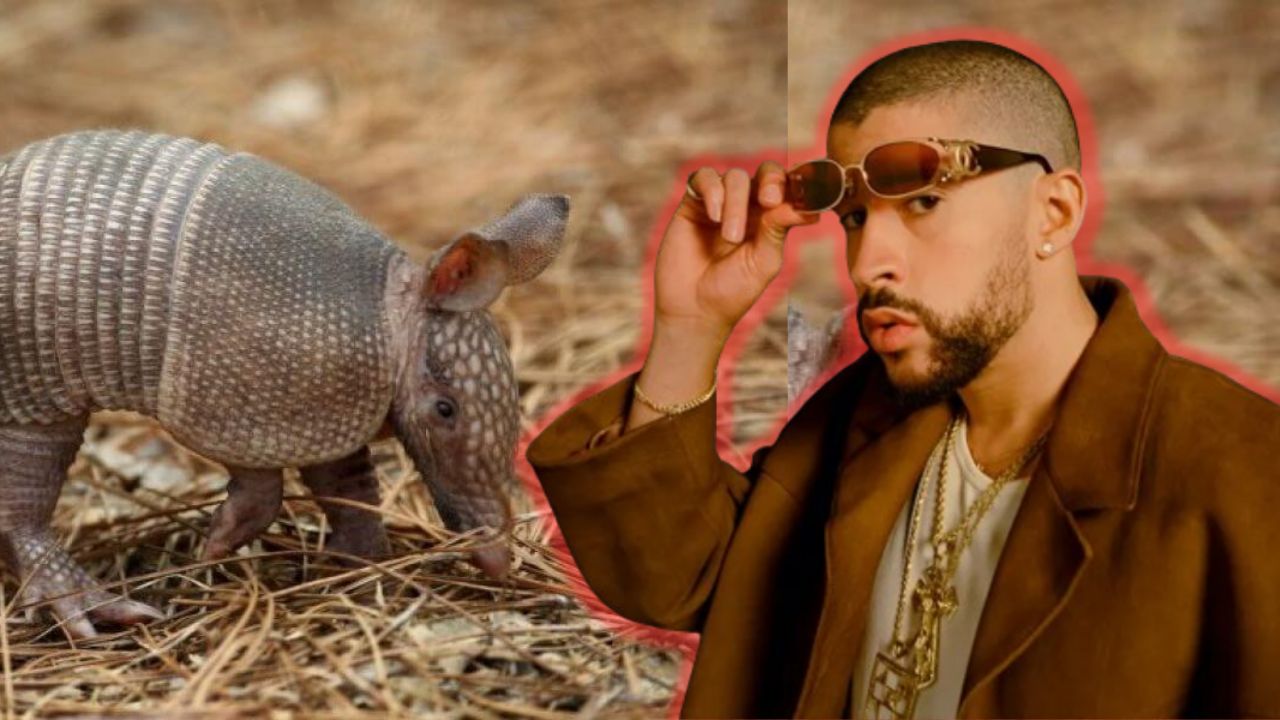 ¡Pitero! Bad Bunny 'canta' clásico folclórico de Honduras