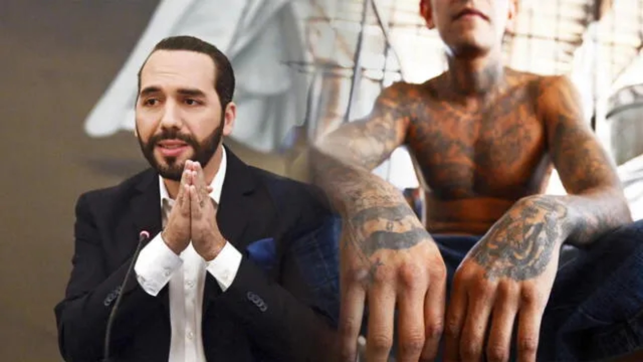 Bukele buscó pactar con el CJNG para capturar líder de la MS-13, según medio salvadoreño