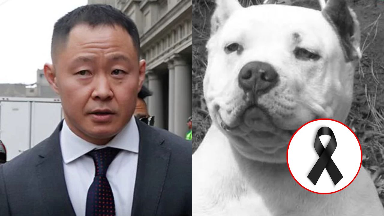 Kenji Fujimori perro murió, redes sociales recuerdan a 'Puñete', la ...