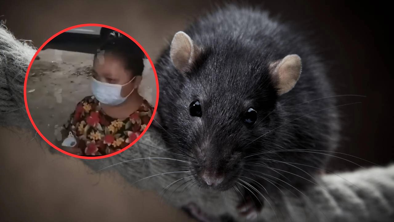 Rata 'le come' el dedo a una mujer en Choluteca