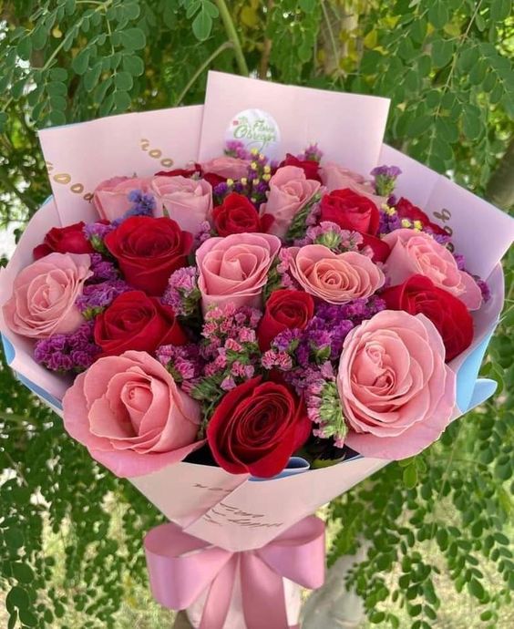 ¿Cuándo se regalan las 20 rosas en abril?, origen y significado de está ...