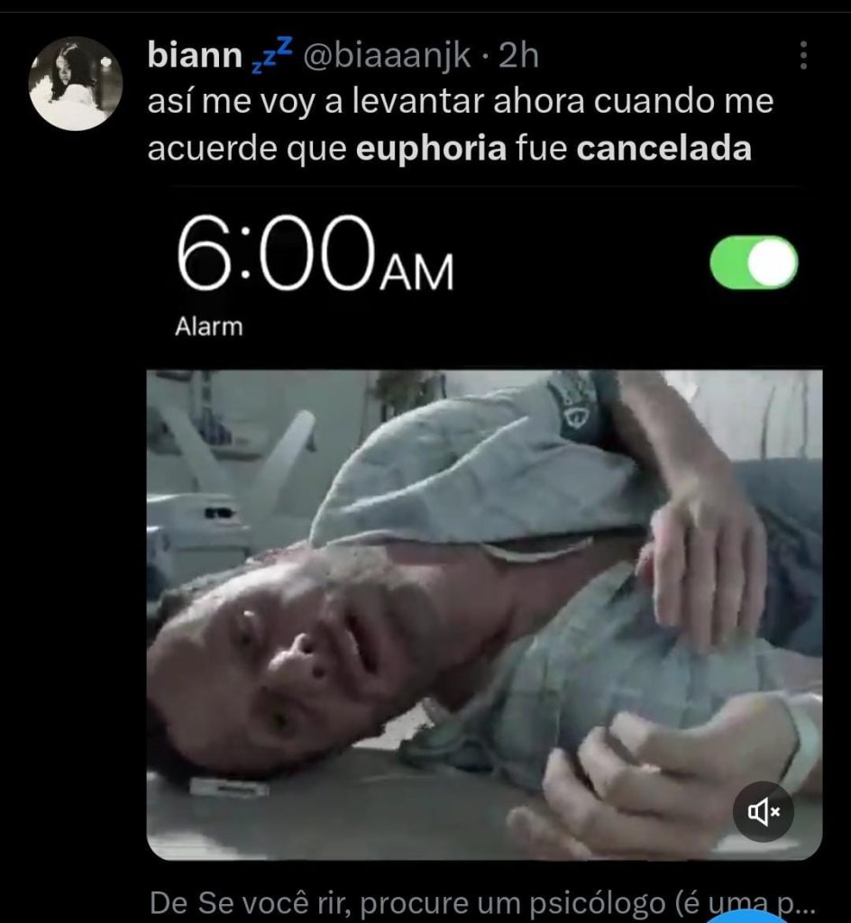 Euphoria cancelada memes: Así reaccionaron los fanáticos ante el rumor