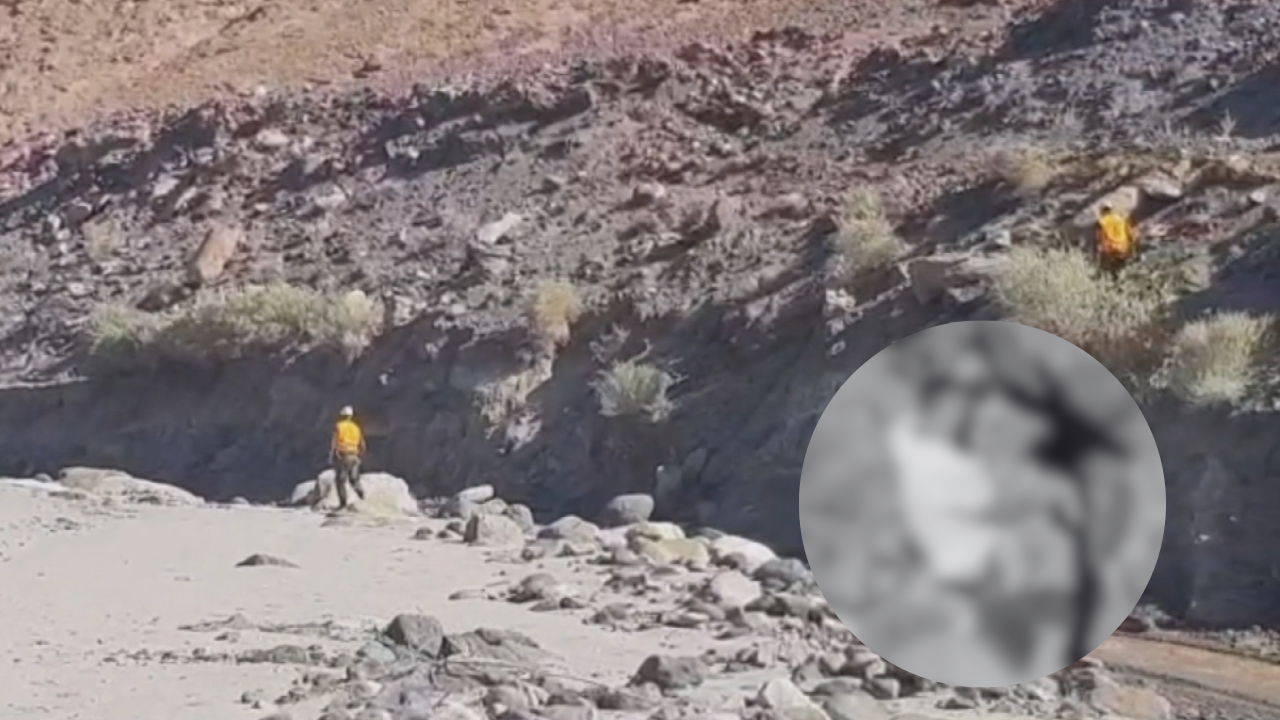 Fotos prohibidas de 'Cangri' muerto en el desierto, estas son las ...