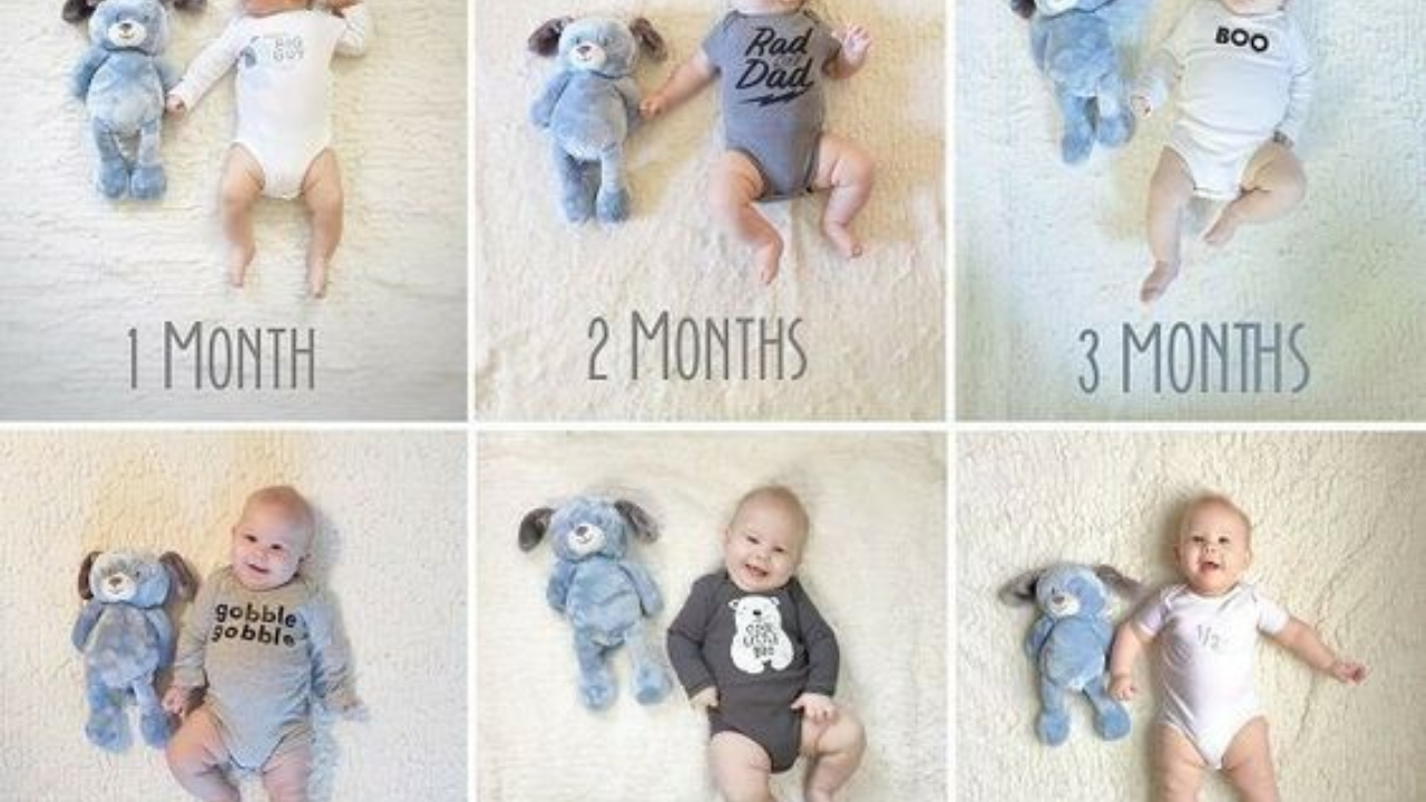 Ideas para fotos de bebés mes a mes niño, captura los momentos ...