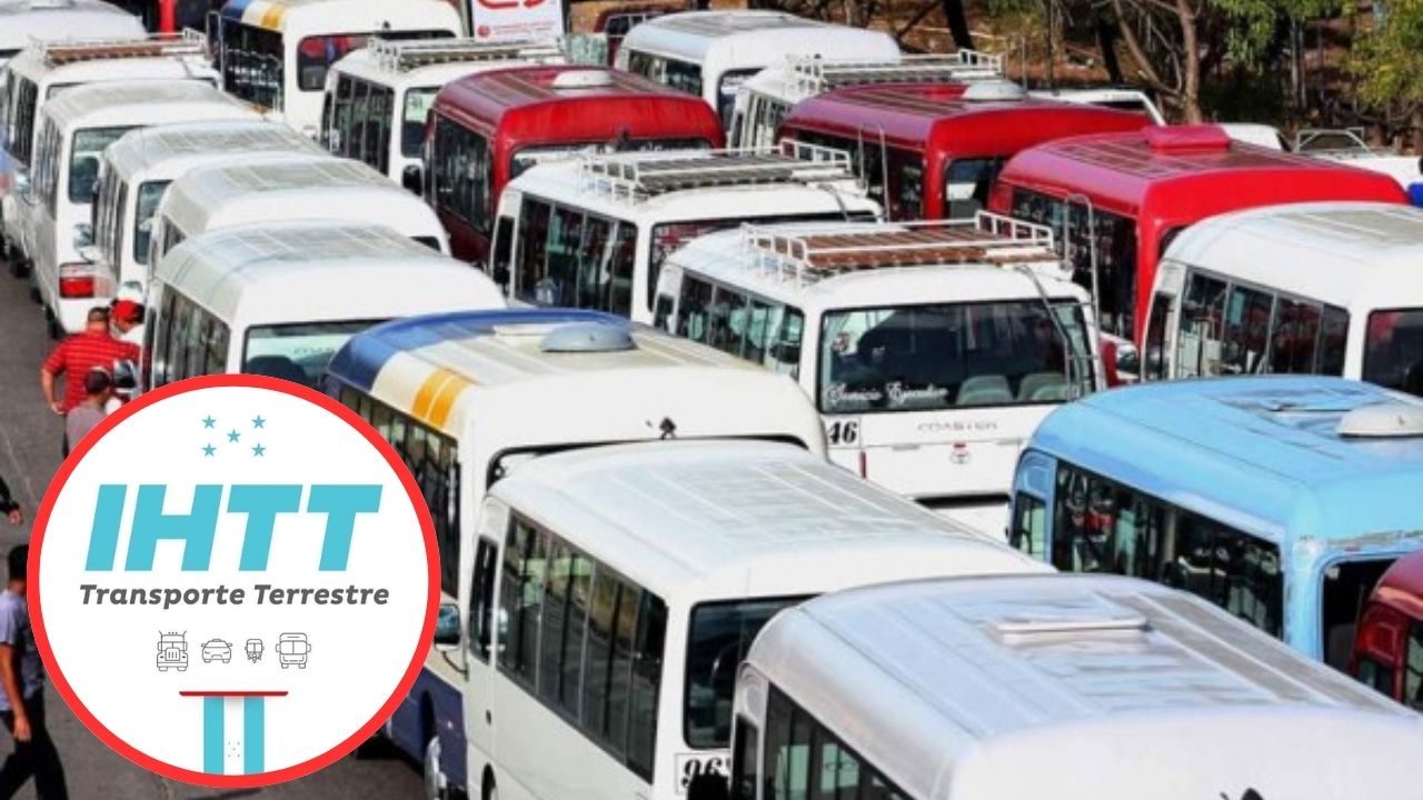 Más de 600 unidades de transporte terrestre han sido sancionadas en ...