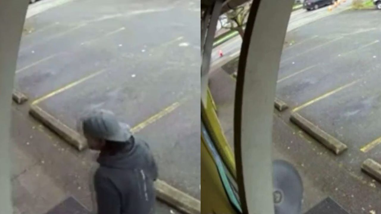 VIDEO: Hombre se salva de morir por una sierra en Oregón, Estados Unidos