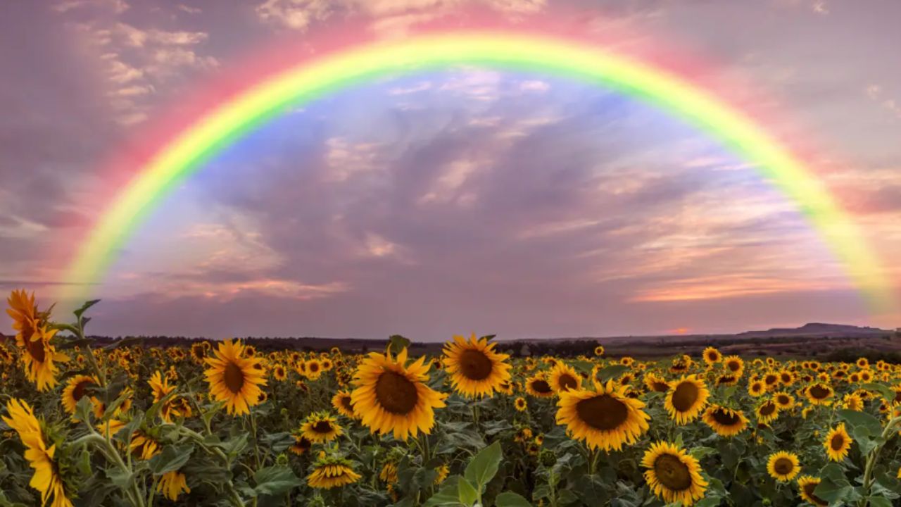 Día Mundial del Arcoíris: ¿Por qué se conmemora el 3 de abril?