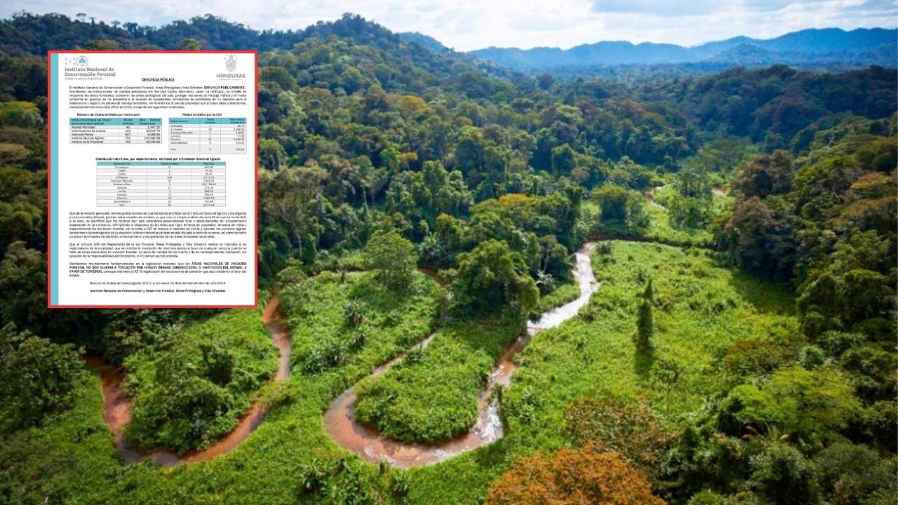 ICF denuncia emisión irregular de más de 1,500 títulos de propiedad en ...