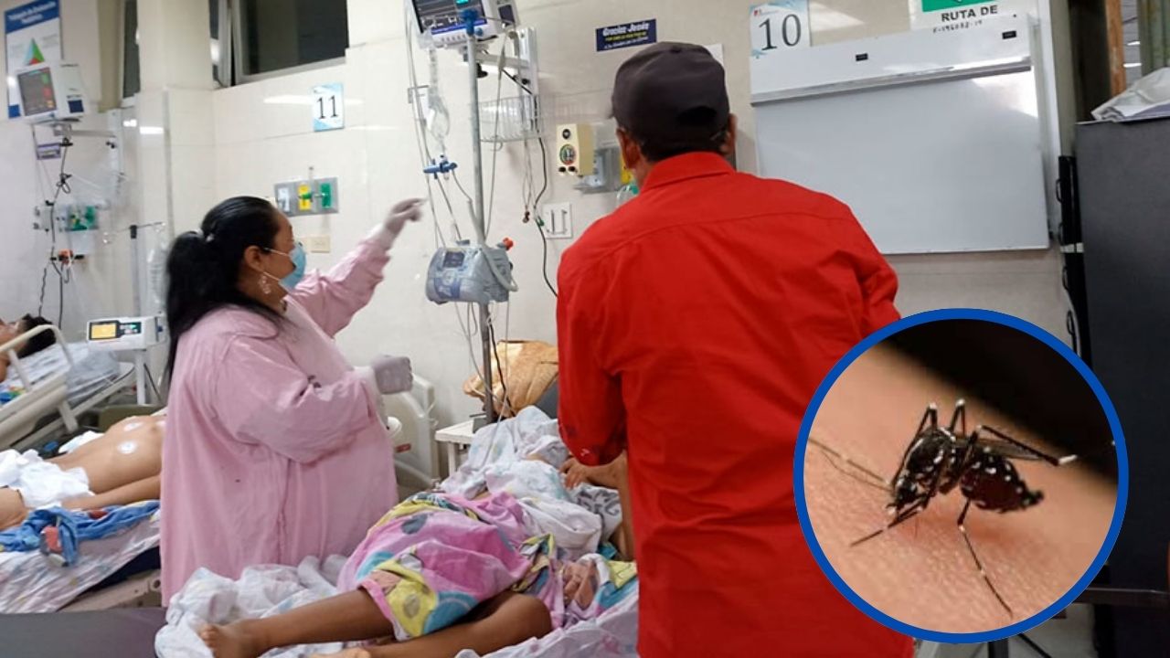 IHSS atiende de 40 a 50 menores con dengue a diario