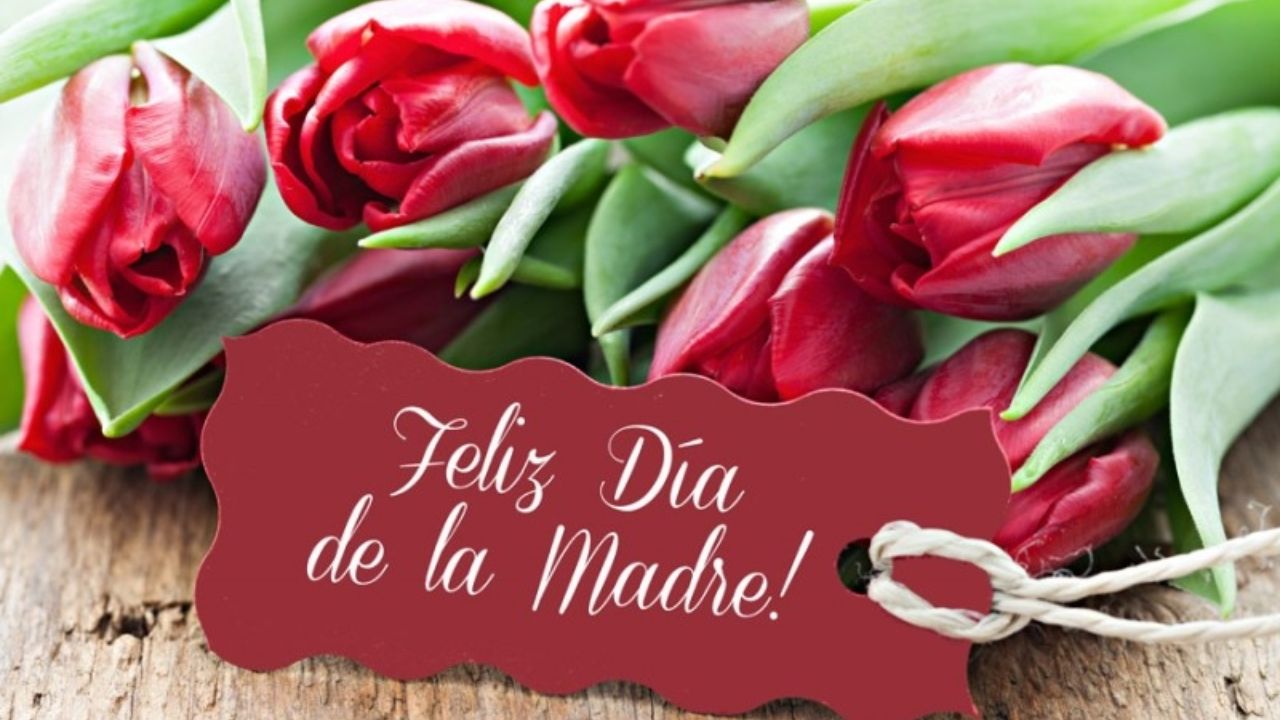 Discurso por el Día de la Madre 2024: palabras para dedicar en este día