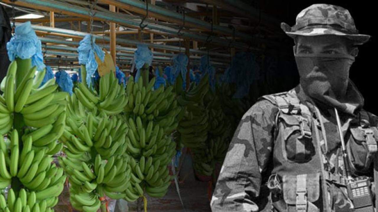 Bananera Chiquita apelará fallo que la implica en financiamiento de ...