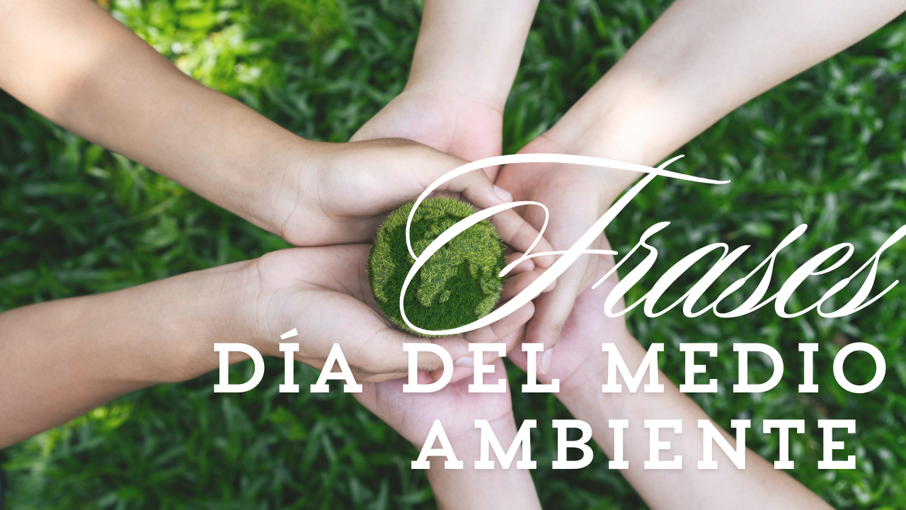 Frases del Medio Ambiente, mensajes de conciencia para cuidar el planeta