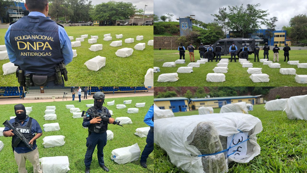 Decomisan marihuana 'crispy' valorada en L11 millones y detienen a un ...